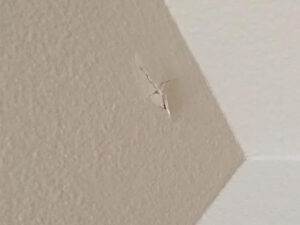 Nail Pops in Ceiling After New Roof (Causes, Fixes and Solutions) – RoofHit